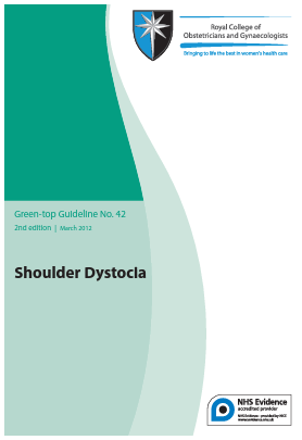Research & Guidance on Shoulder Dystocia - Big Birthas